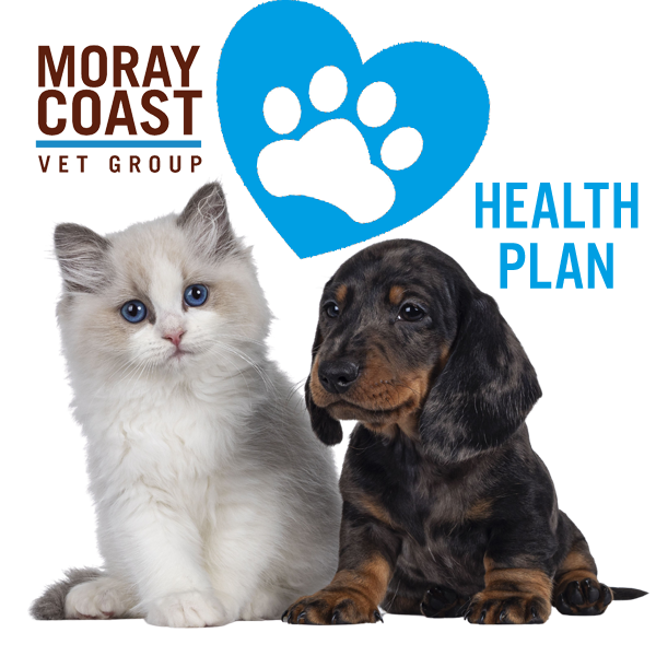 Moray Coast Vet Group – Moray Coast Veterinary Group is an independent ...